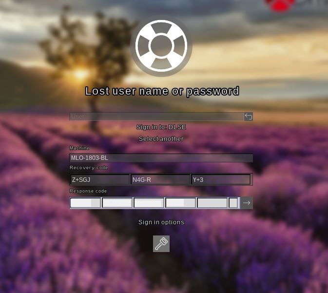 Emergency logon with recovery code